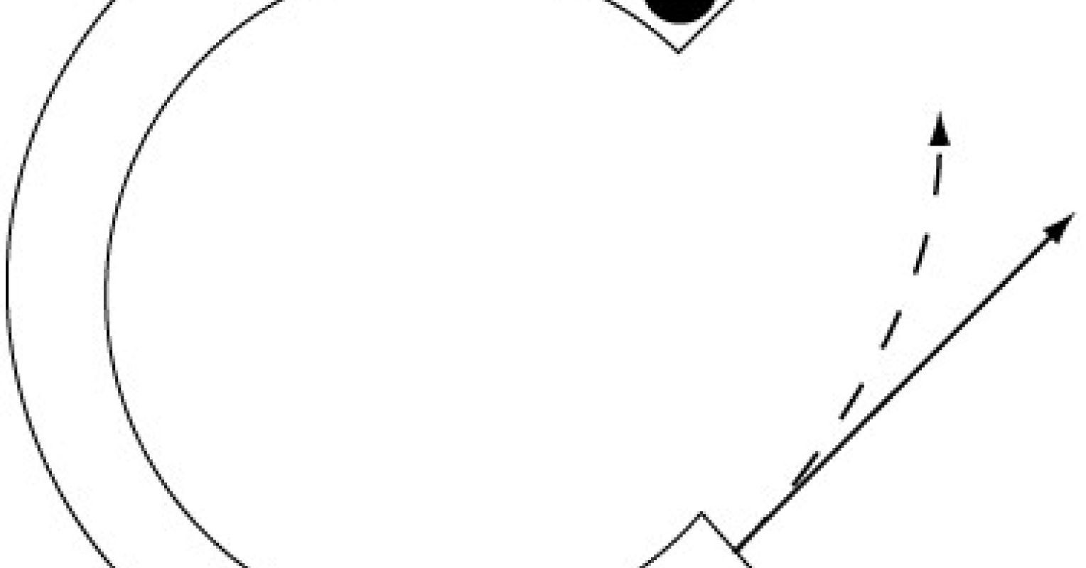 How We Can Catch a Ball When We Don't Know Where It Will Be ...