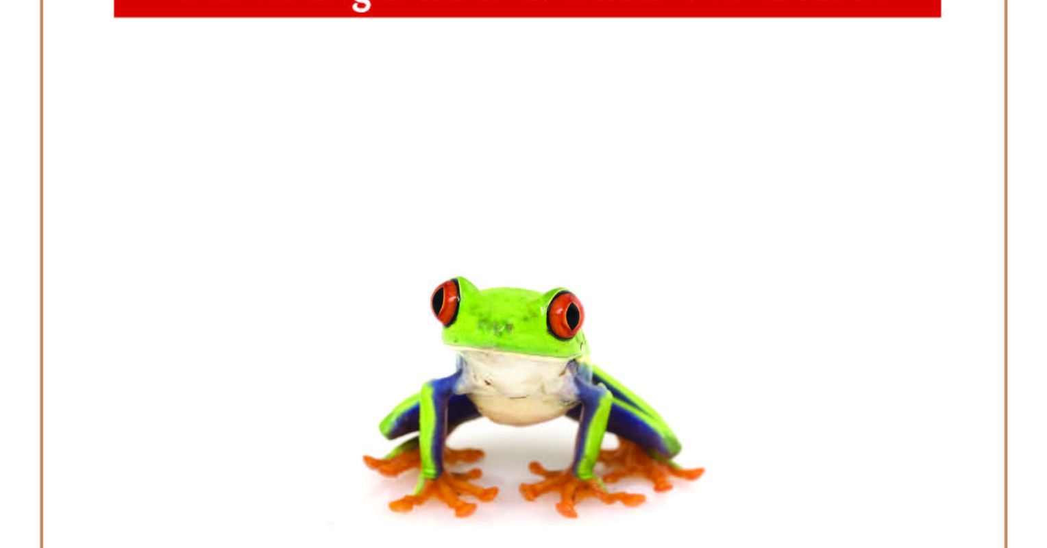 Neither Ghost Nor Machine: The Emergence and Nature of Us | Psychology ...