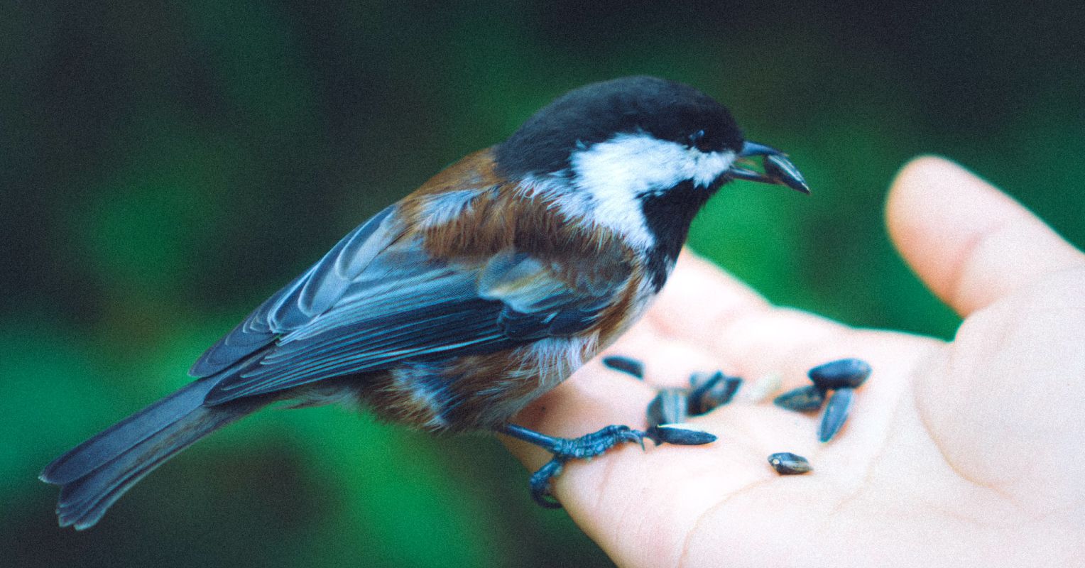 What Happens When We Are Too Self-Protective? | Psychology Today