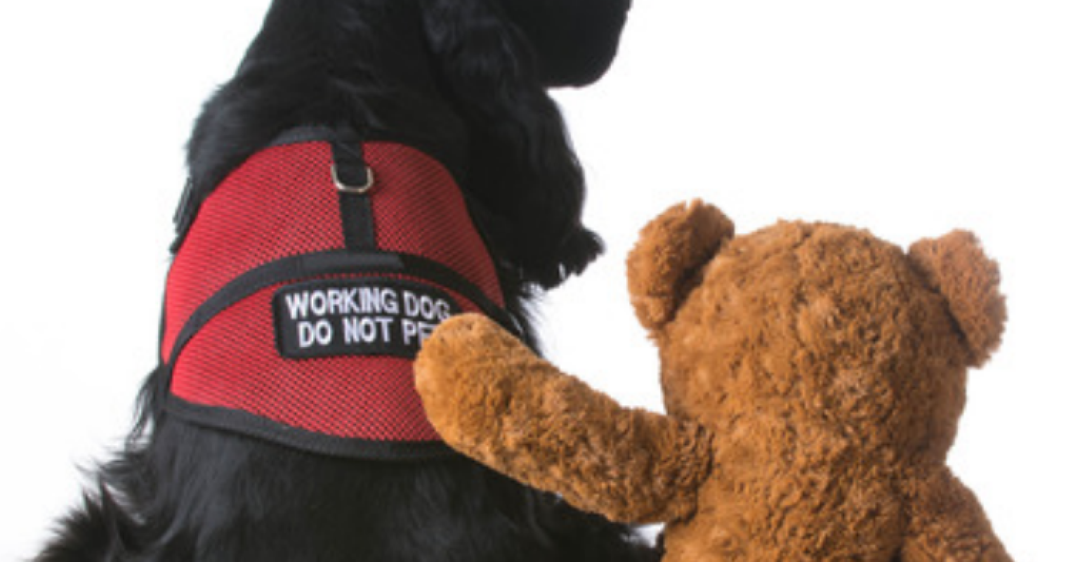 Why Do People Think Animals Make Good Therapists? | Psychology Today