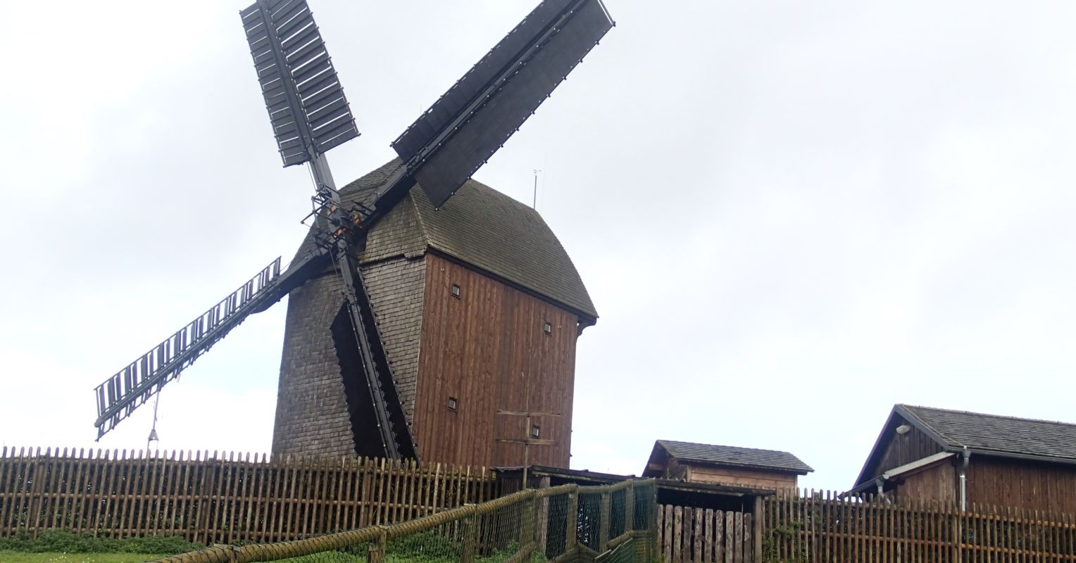 Homo Dichotomus | Psychology Today