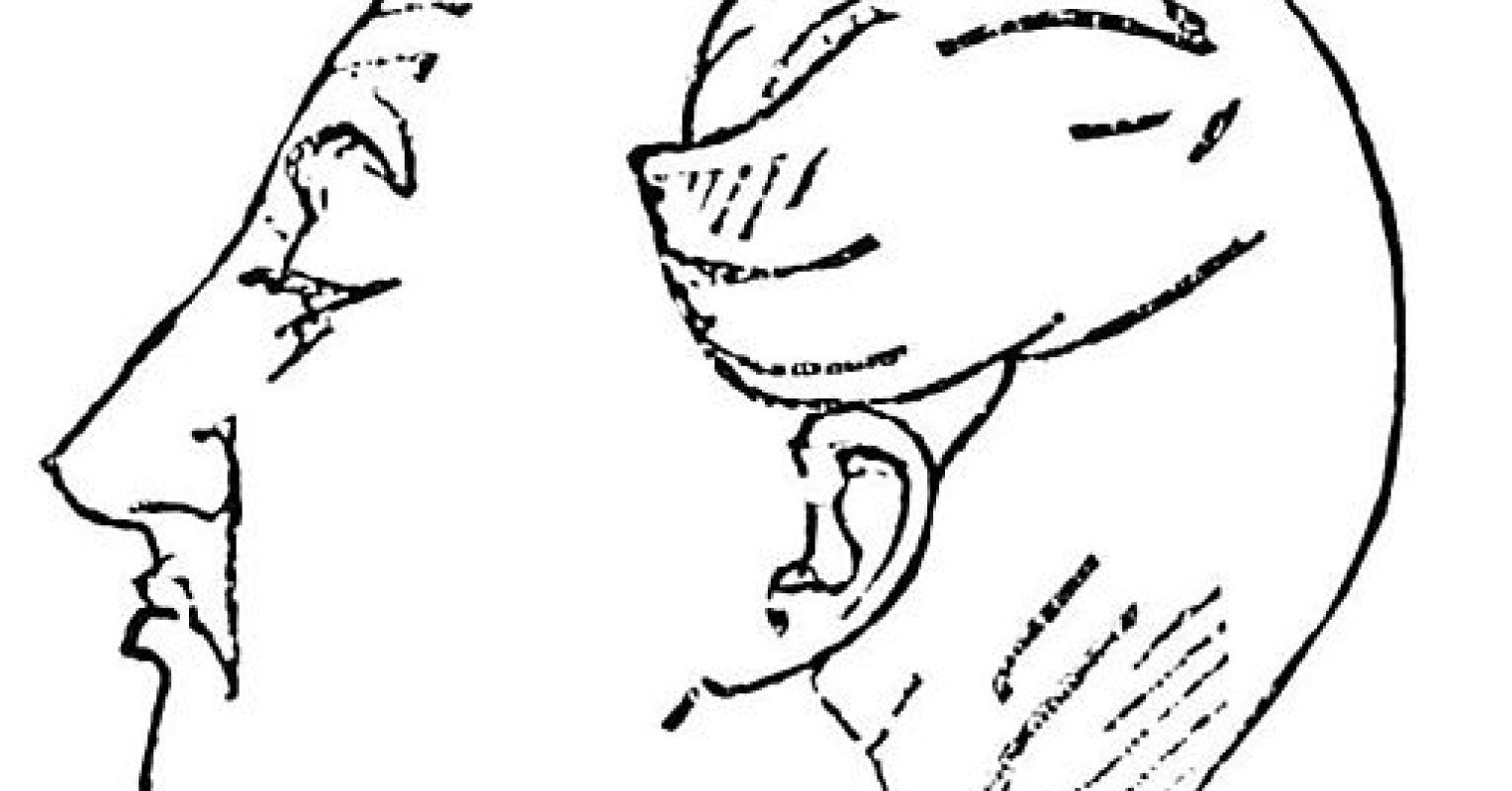 Love and Contempt | Psychology Today