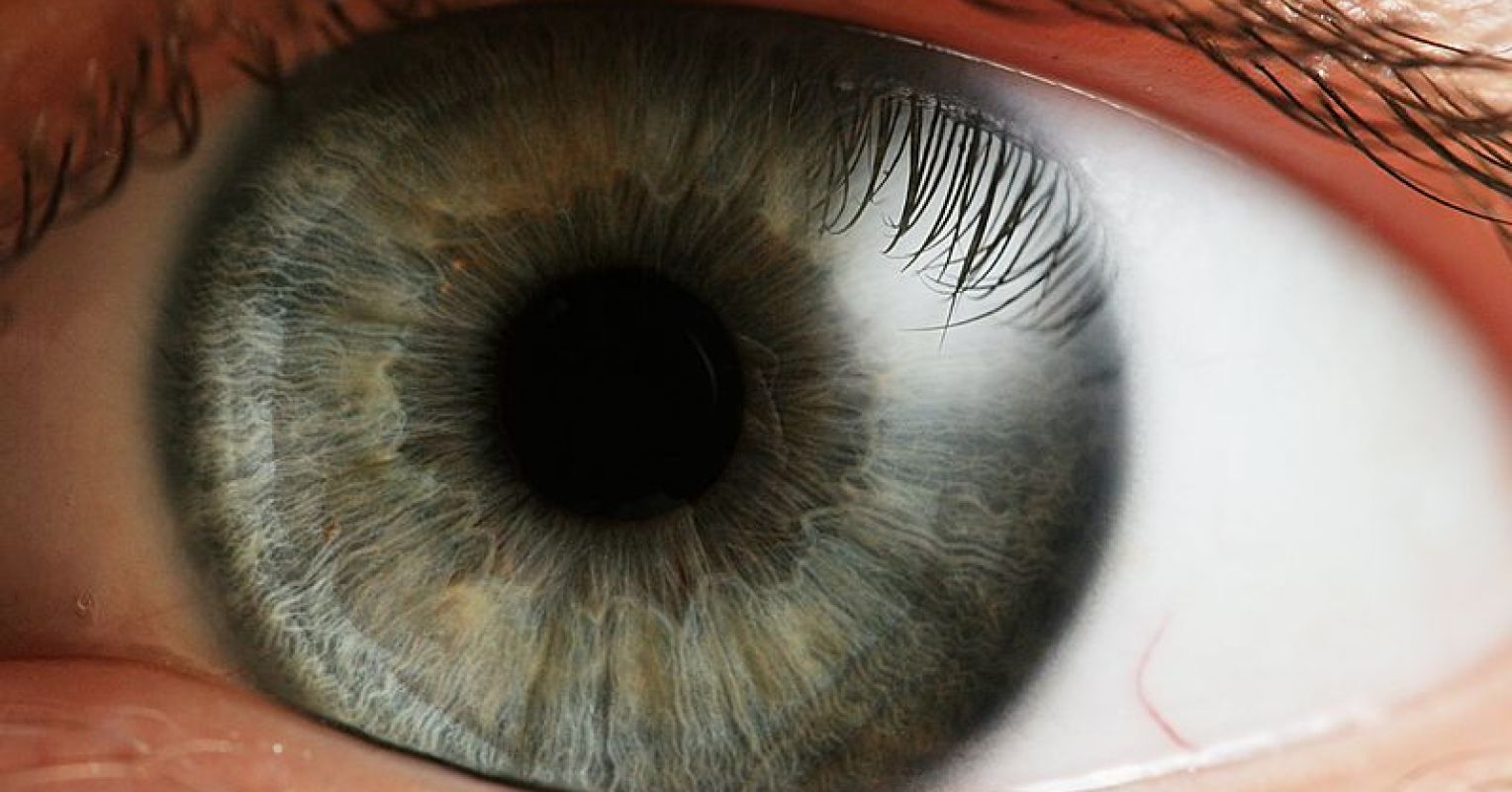Pupil Size Offers an Eye-Opening Window Into Deep Sleep | Psychology Today