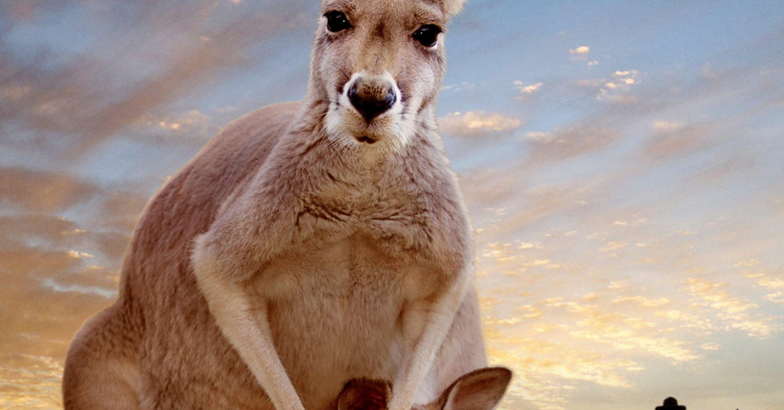 Kangaroo: A Riveting, Deeply Troubling, Must-See Film | Psychology ...