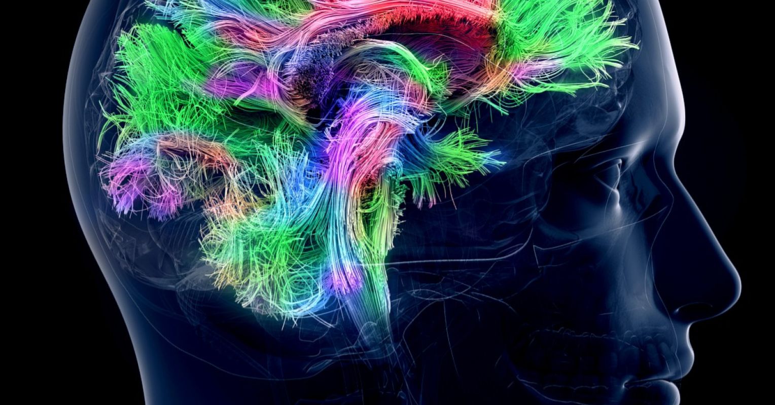 The Neuroscience of Proactive vs. Hyper-Reactive Thinking | Psychology ...