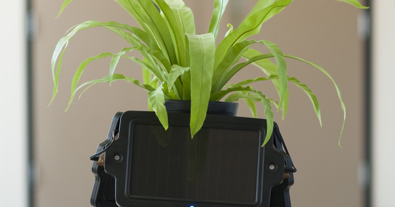 Leadership Skills for the 22nd Century | Psychology Today South Africa