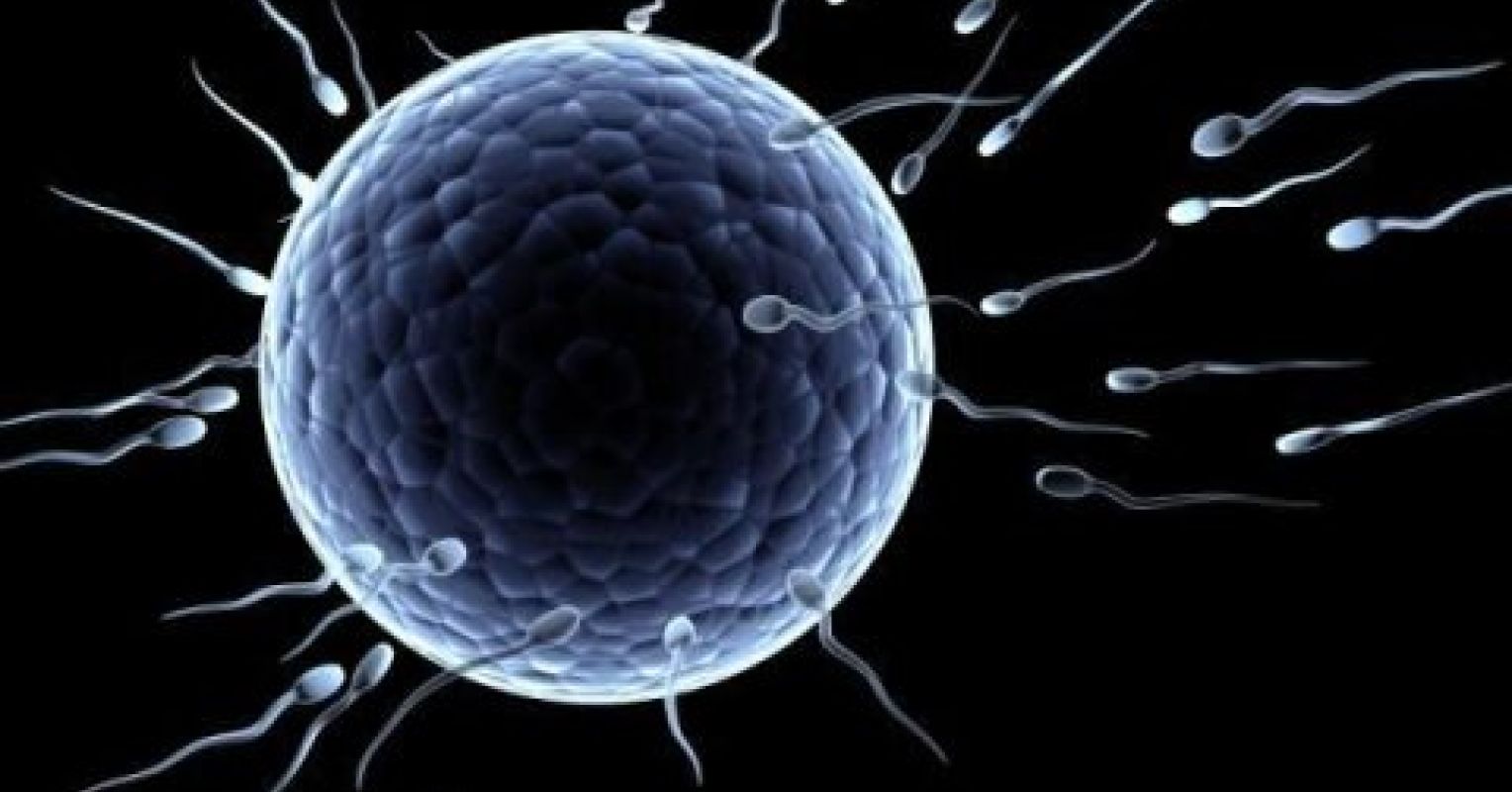 What, Exactly, Is an "Unborn Child"? | Psychology Today