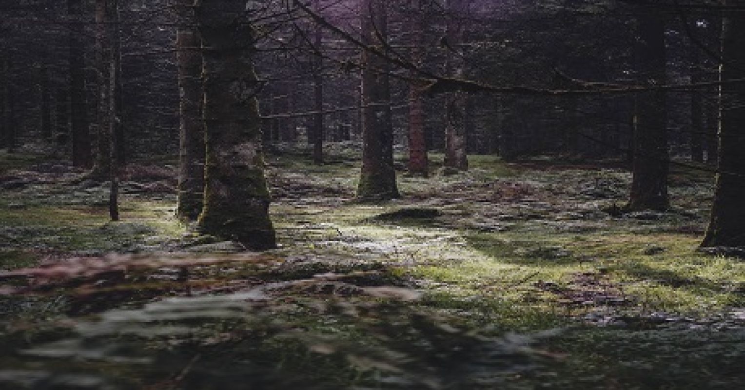 See the Big Picture | Psychology Today