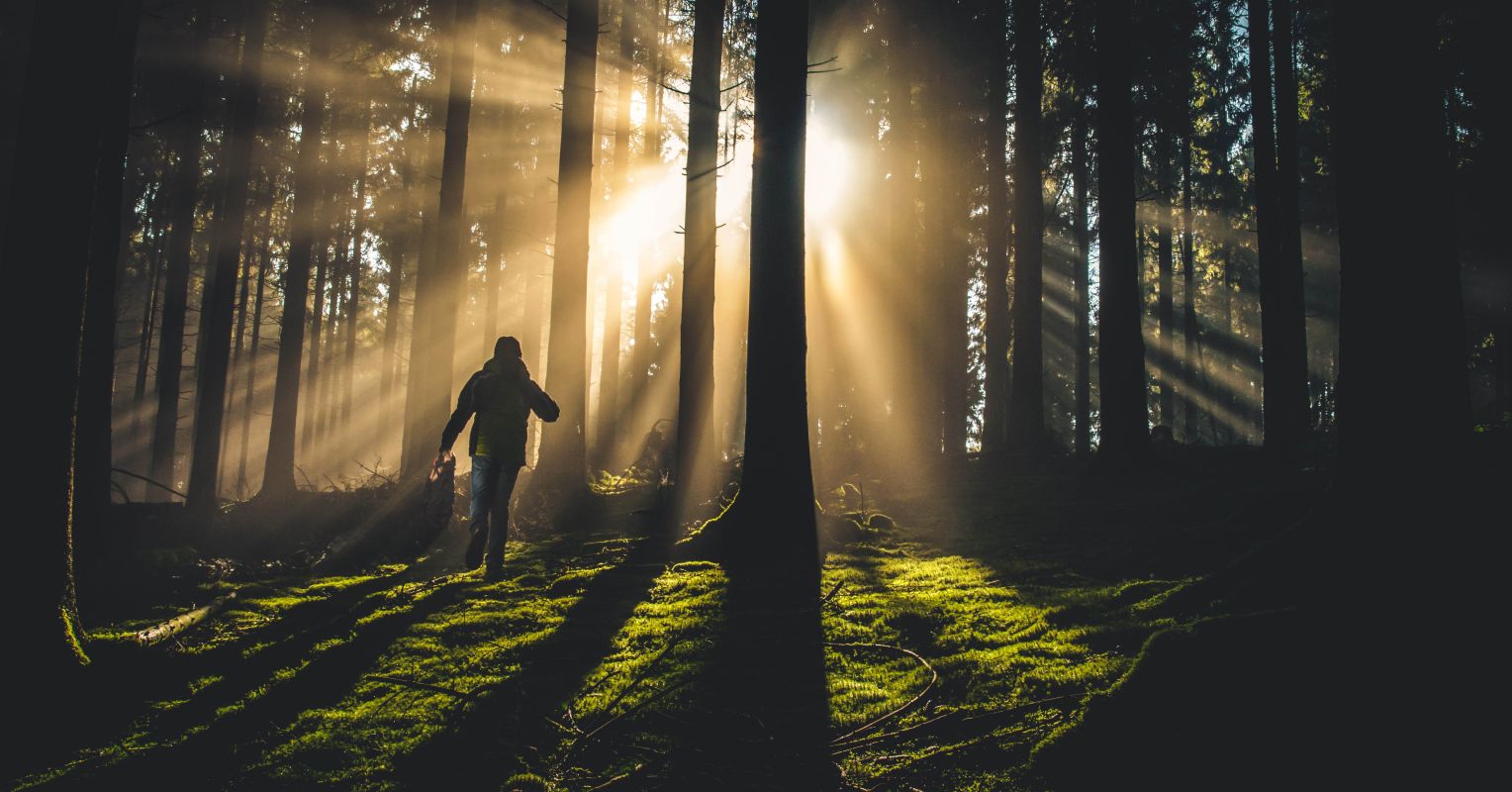 Going Within to Create Meaning | Psychology Today