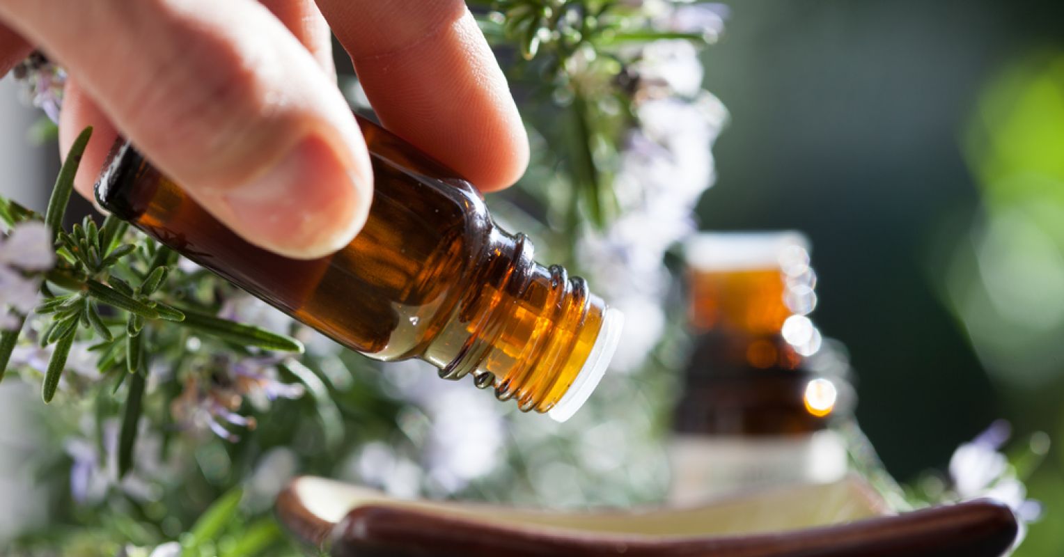 The Neuroscience of Smell Memories Linked to Place and Time ...