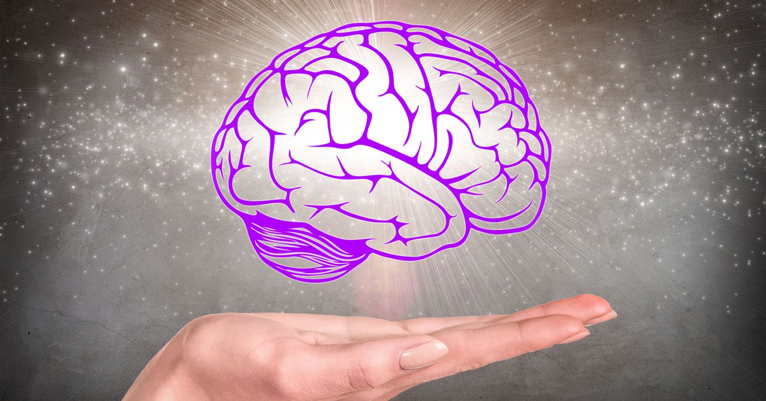 Mentally Challenged Brain