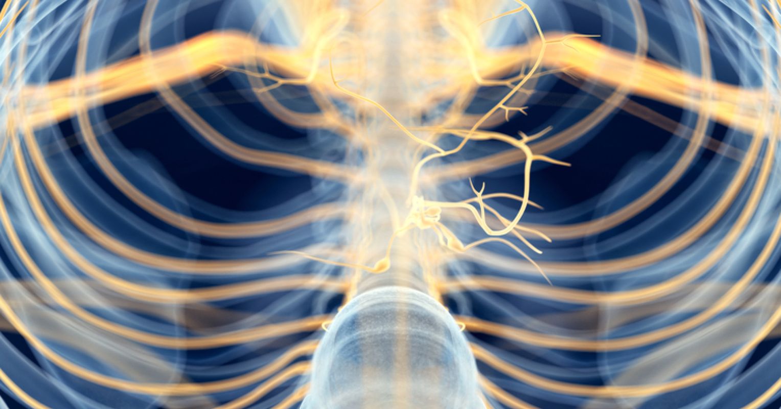Vagus Nerve Stimulation Offers New Hope for Major Depression ...