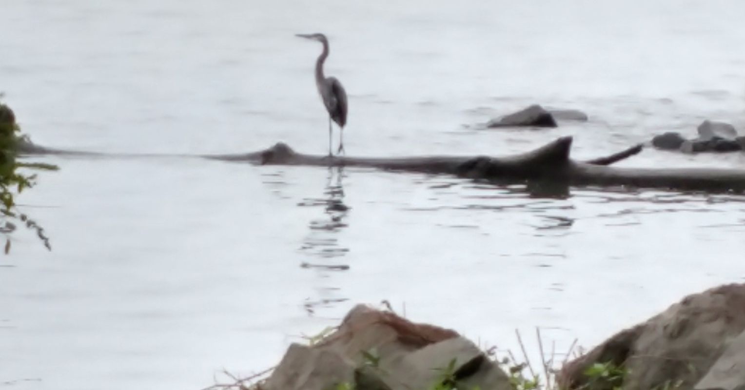 How to Have a Wider Lens | Psychology Today