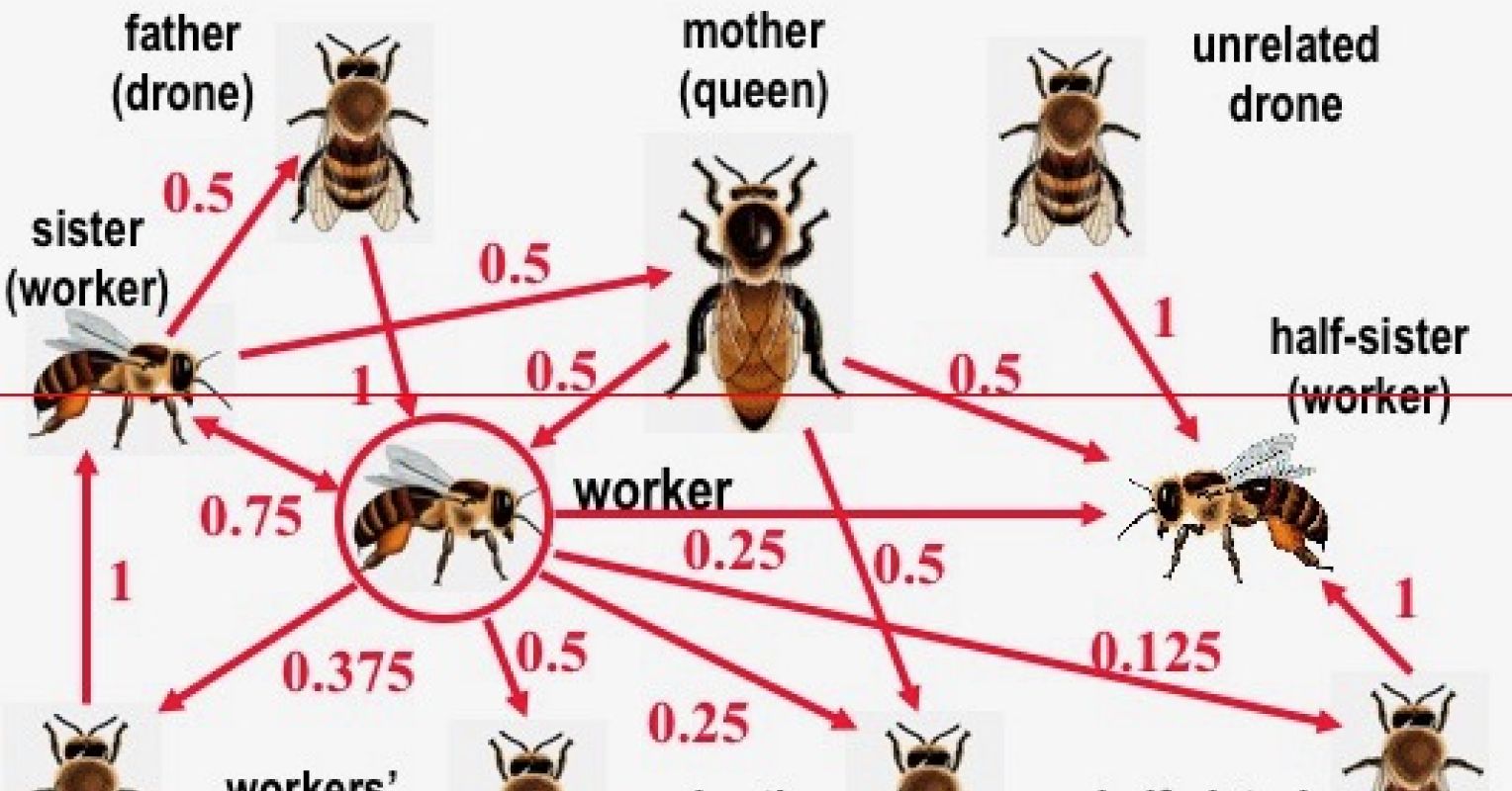 Epigenetic Relatedness: The Refutation of Biological Racism ...