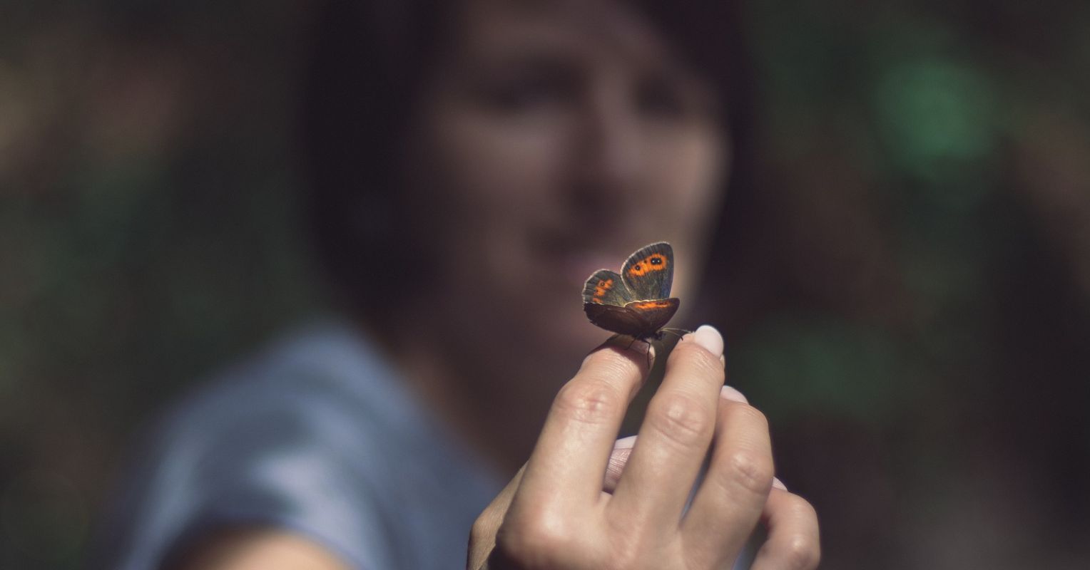 Are You Willing to Kill the Butterfly? | Psychology Today