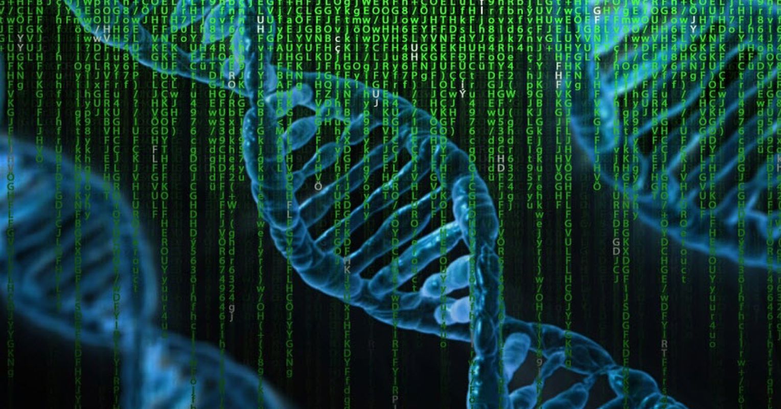 dna artificial