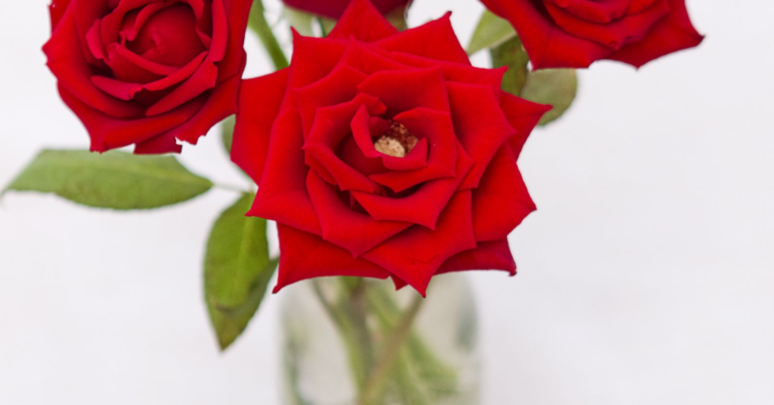 A Year-Long Valentine: Love, Forgiveness, and Gratitude | Psychology Today
