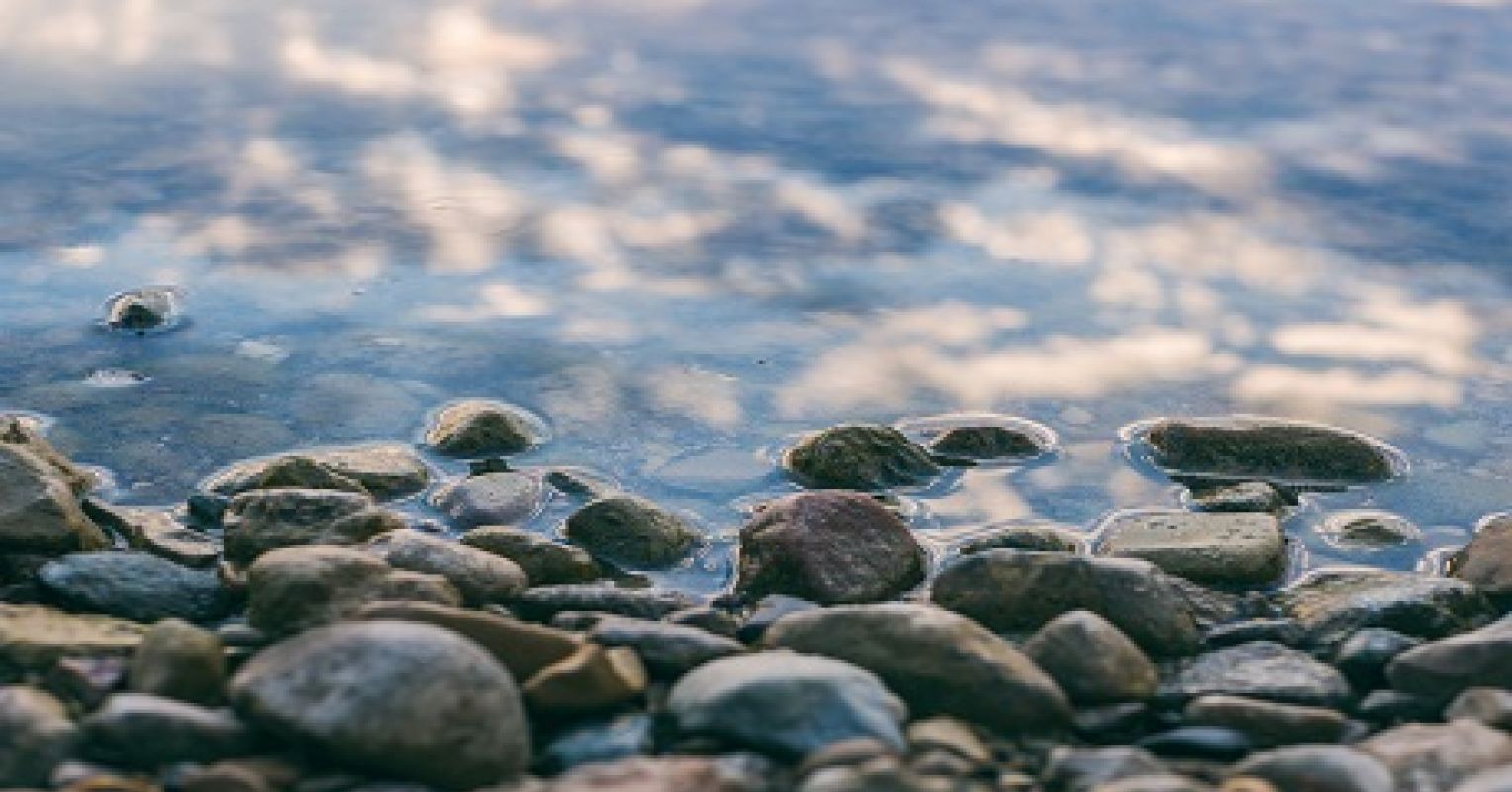 Own Your Part | Psychology Today