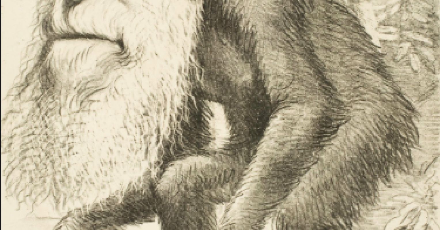 Why Do We Celebrate Darwin Day? | Psychology Today Singapore