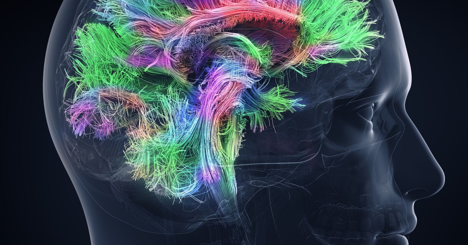 Want to Maintain Total Cerebral Brain Volume? Keep Walking | Psychology ...