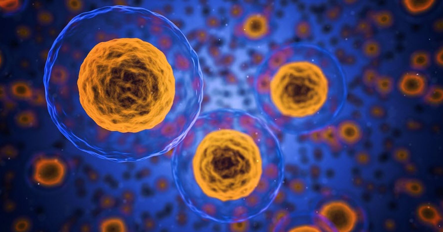 Atlas of Breast Cancer Ecosystem Made by AI Machine Learning ...