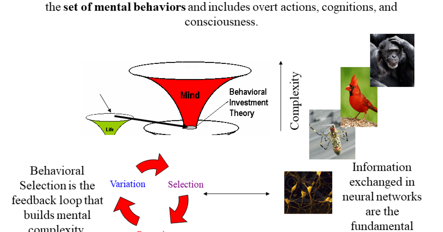 We Need a New Definition for Mind | Psychology Today
