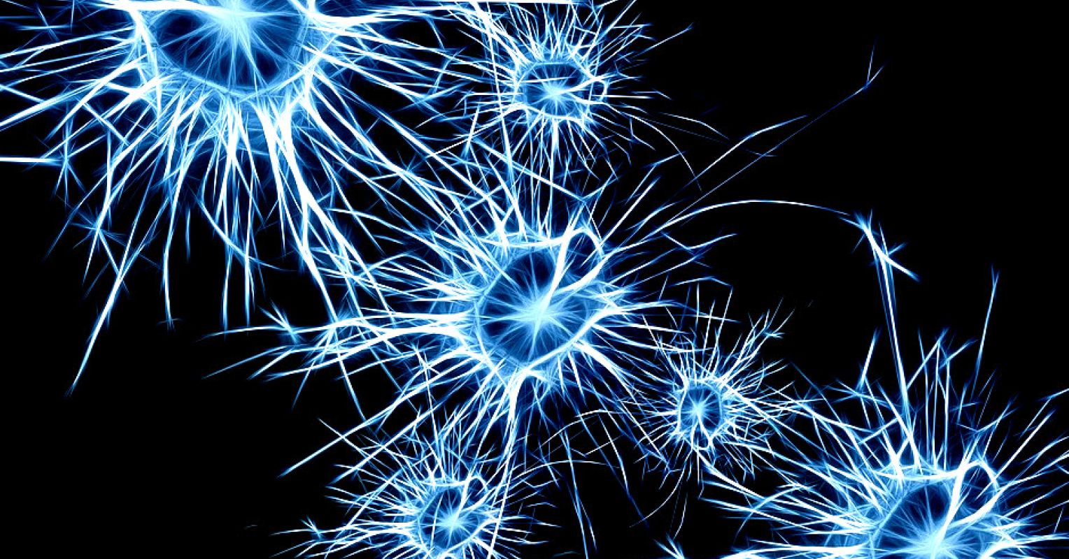 New Theory of How the Brain’s Neurons Process Information | Psychology ...