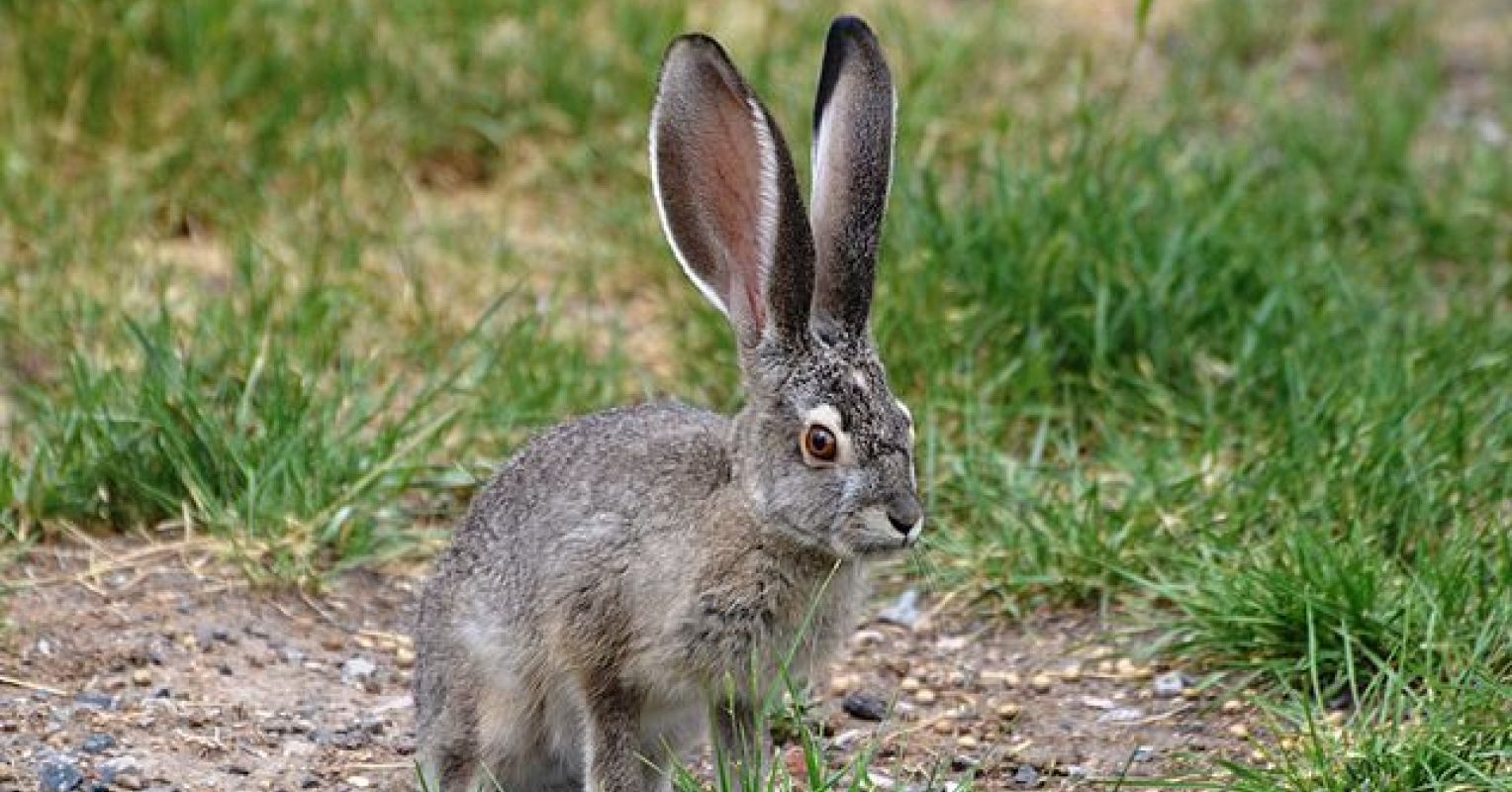 Why We Fear Failure More Than We Enjoy Success | Psychology Today