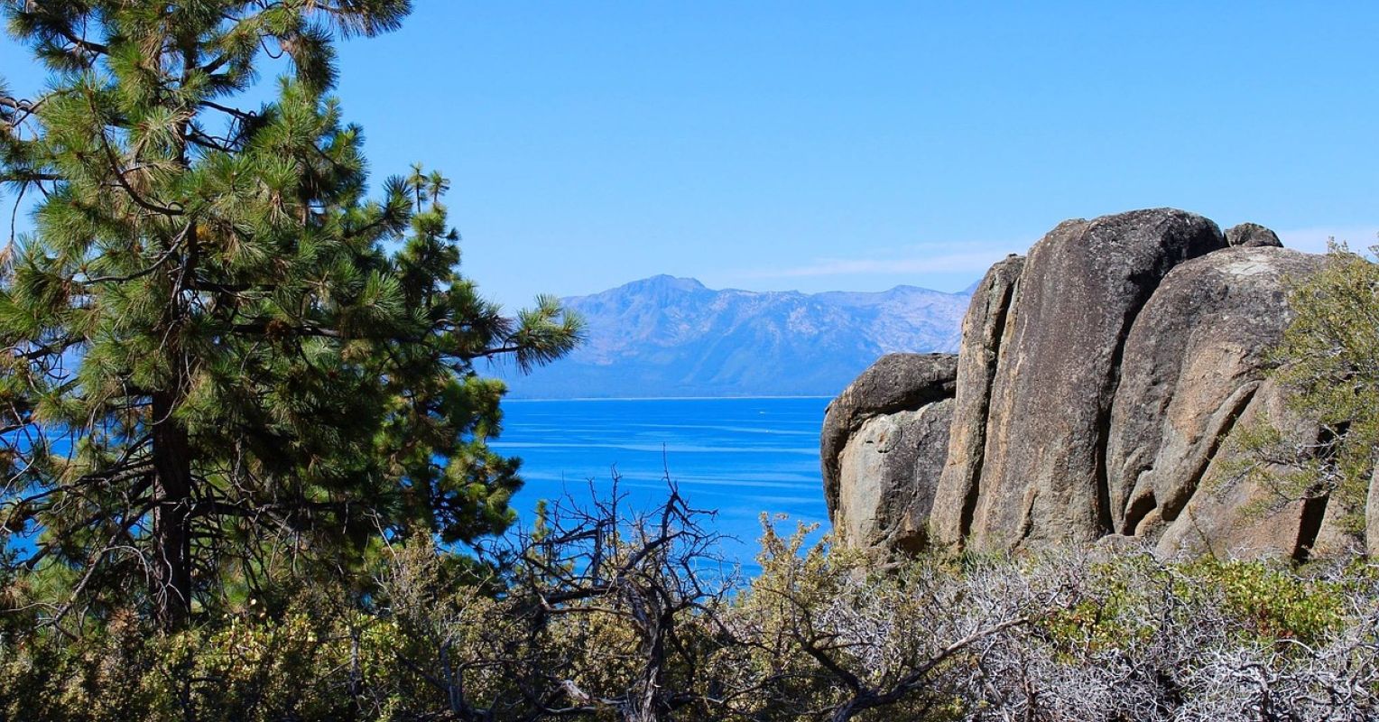 Stressed Out? How Nature Can Restore Your Health | Psychology Today