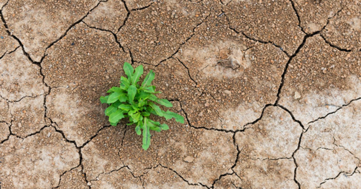 Resilience and a Sense of Humor | Psychology Today