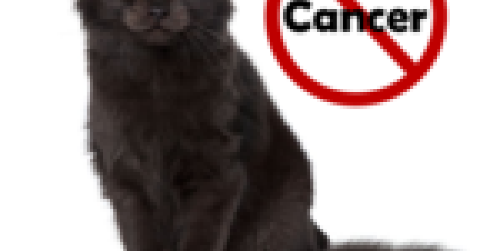 The Strange Link Between Pet Ownership and Cancer In Women | Psychology ...