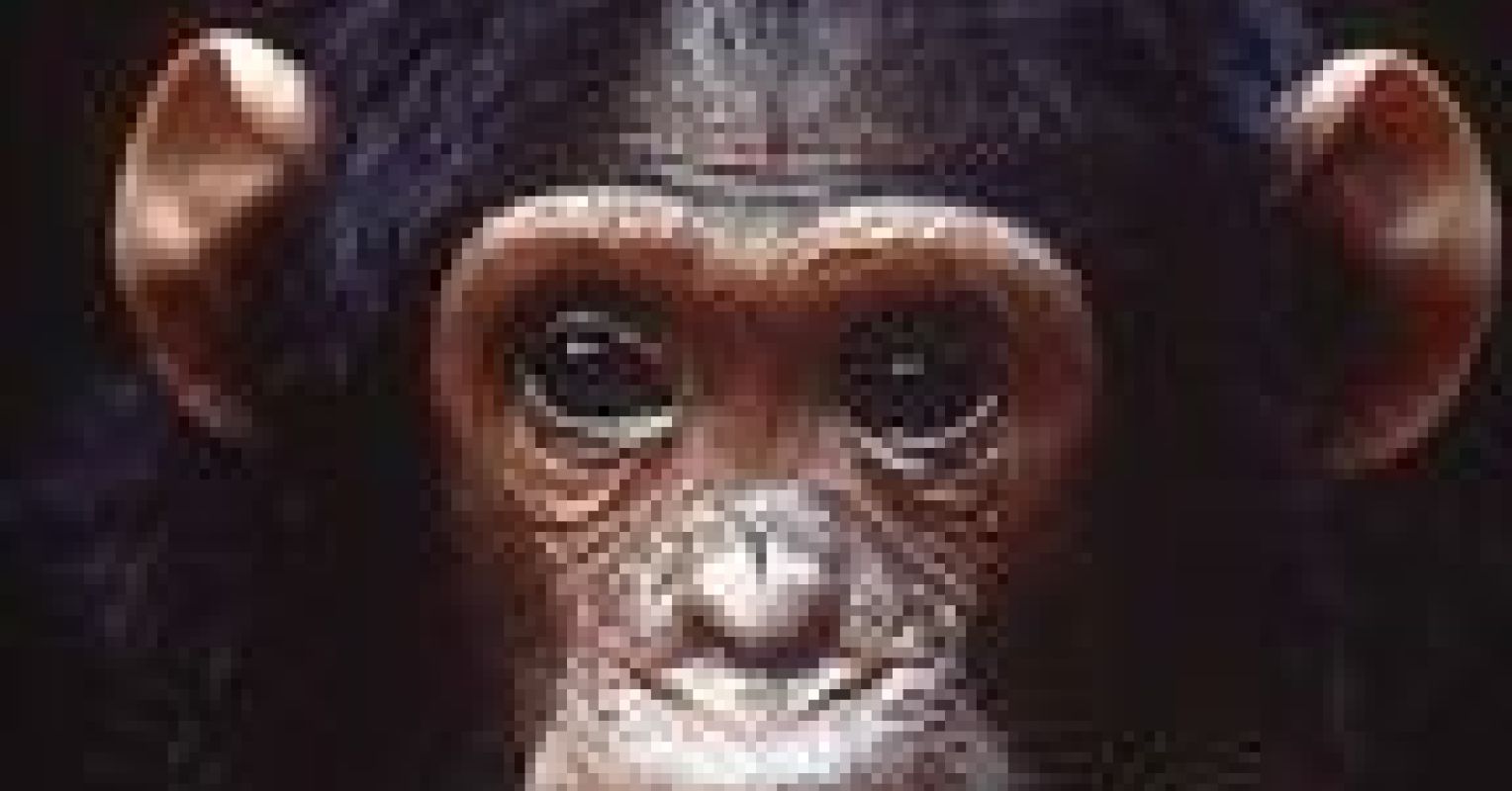 Disarming Your Buttons: How Not to Get Provoked (Pt 3 of 4 ...