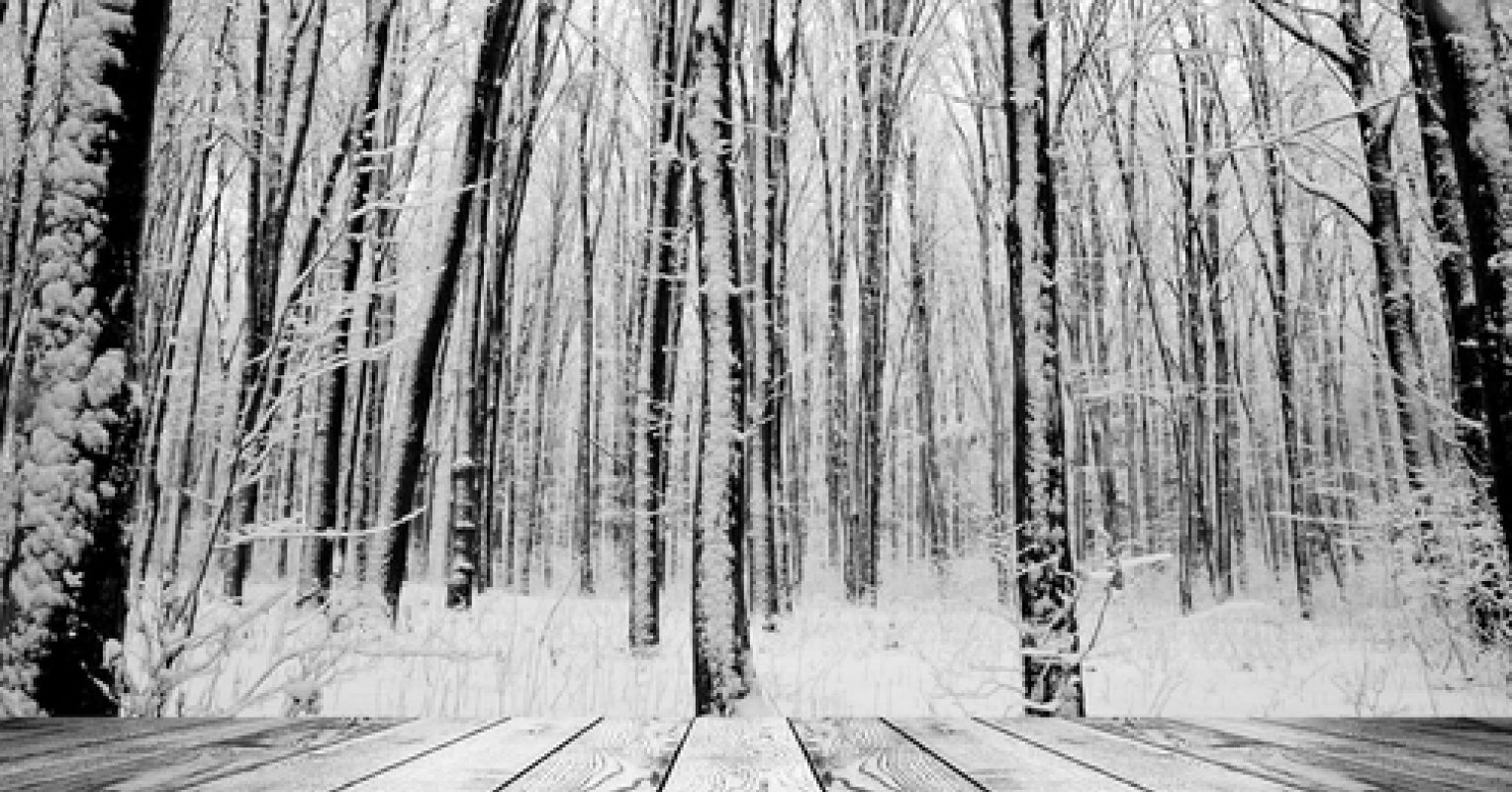 Preparing Your Mood for Winter | Psychology Today
