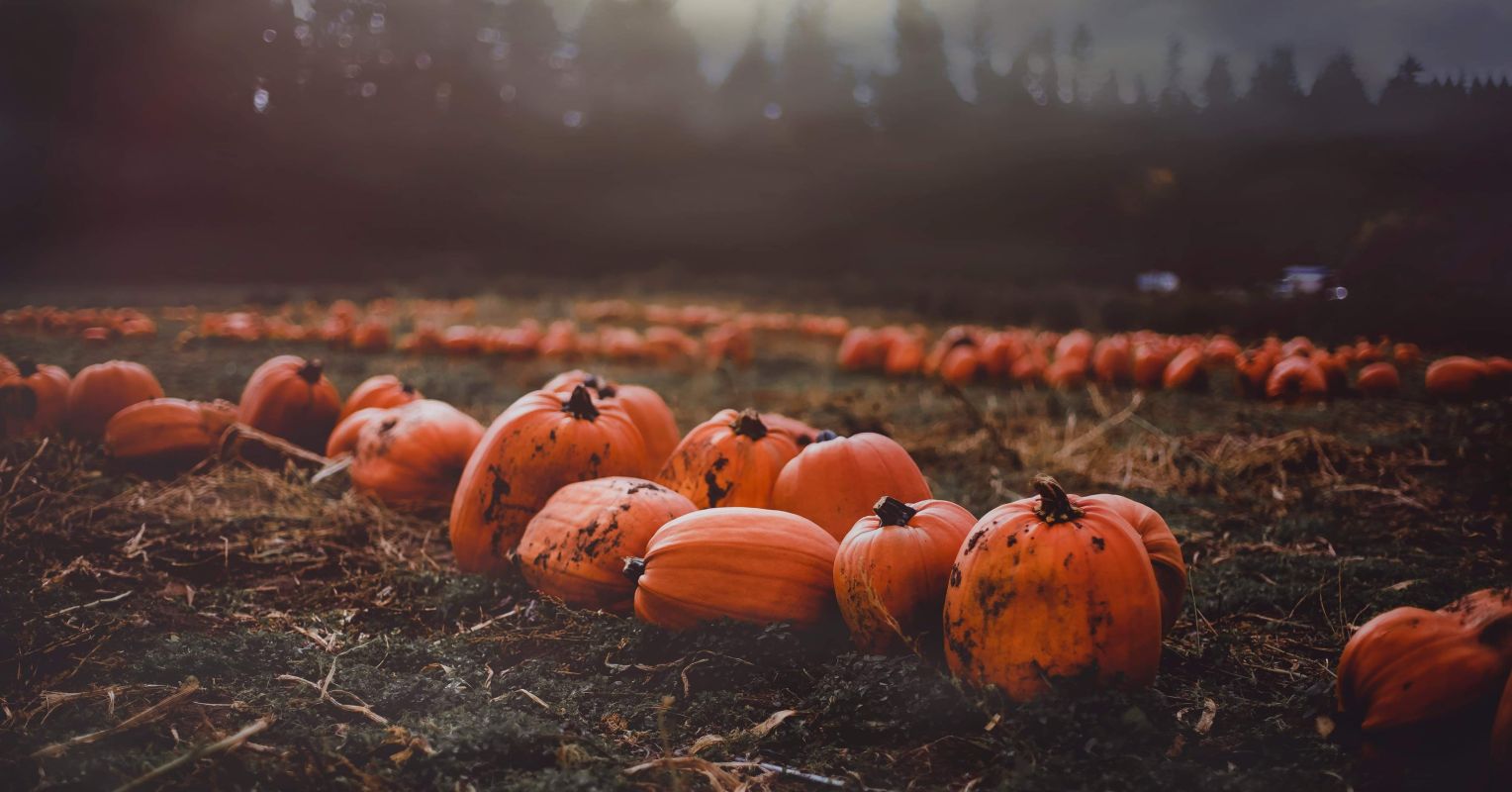 The Great Pumpkin Mess Up | Psychology Today United Kingdom