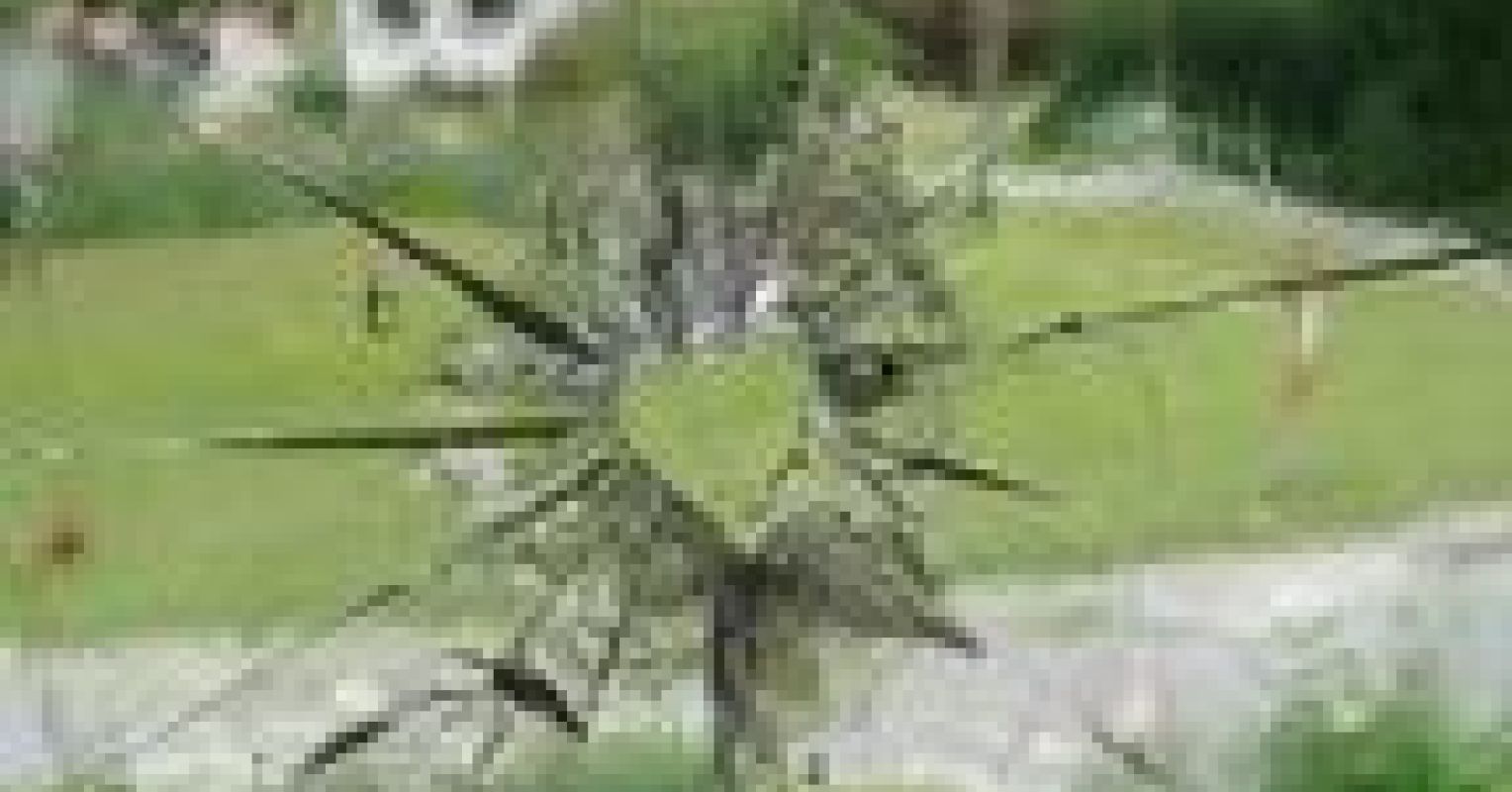 Gone Man | Psychology Today Australia