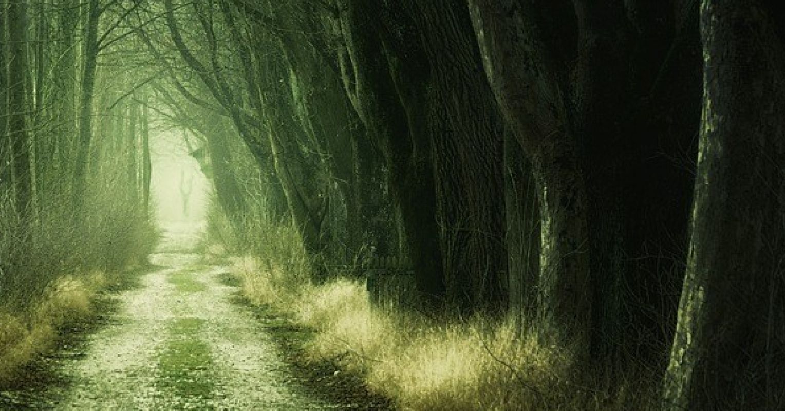 How Should I Deal with Nightmares and Night Terrors? | Psychology Today ...