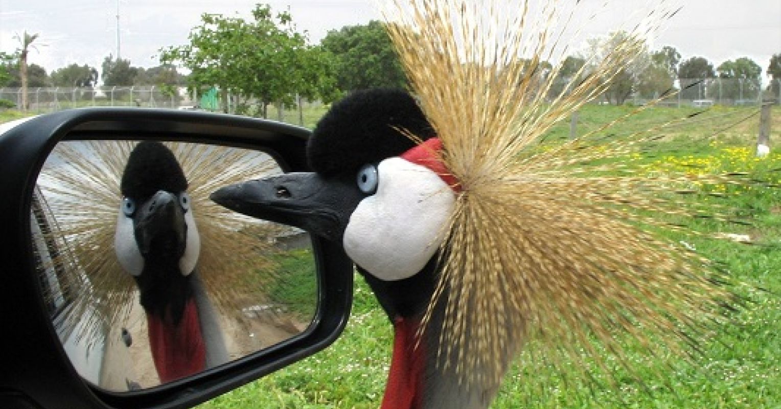 5 Reasons Why People Might Think You’re Weird | Psychology Today Australia