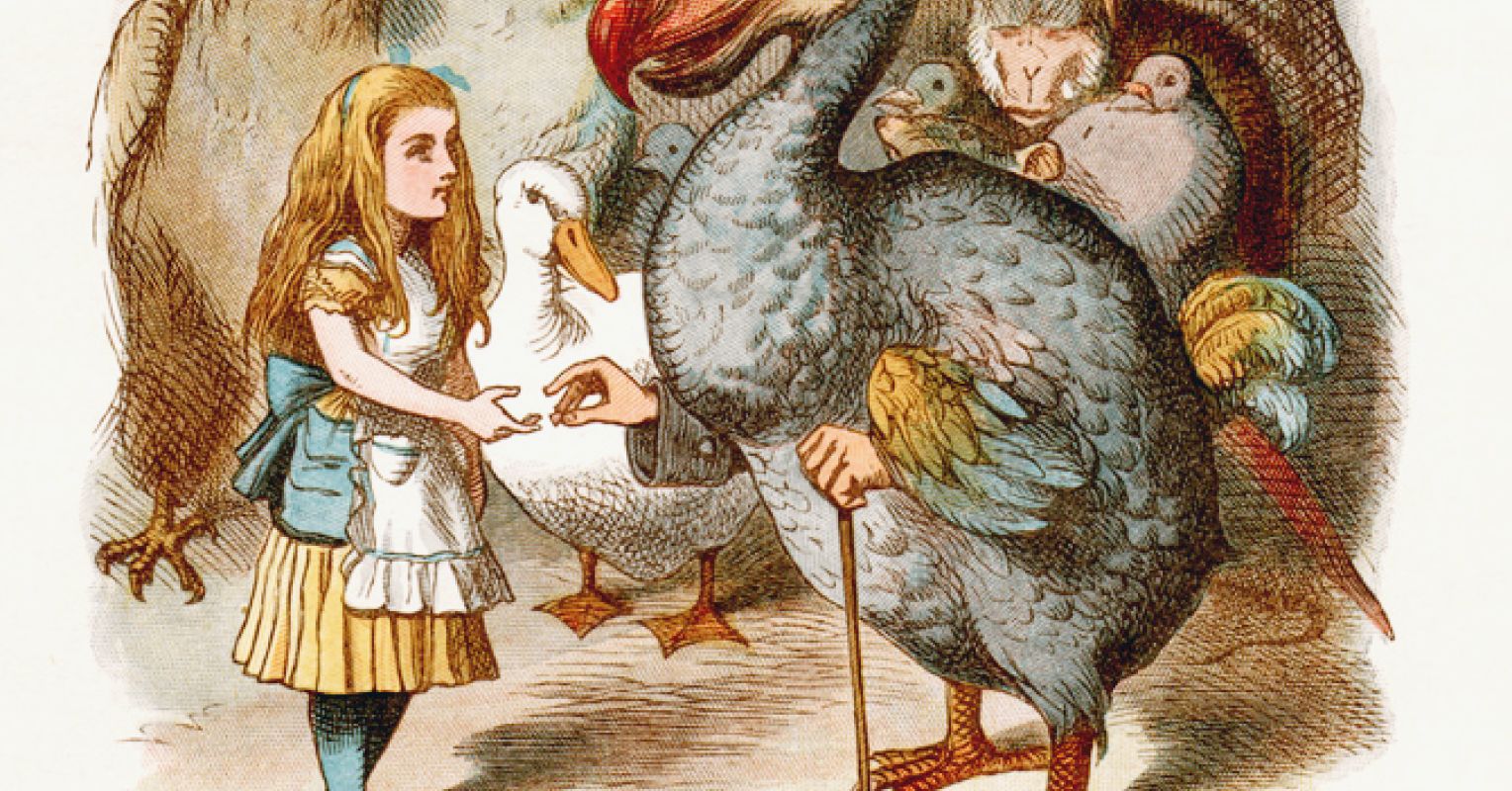 the dodo bird effect