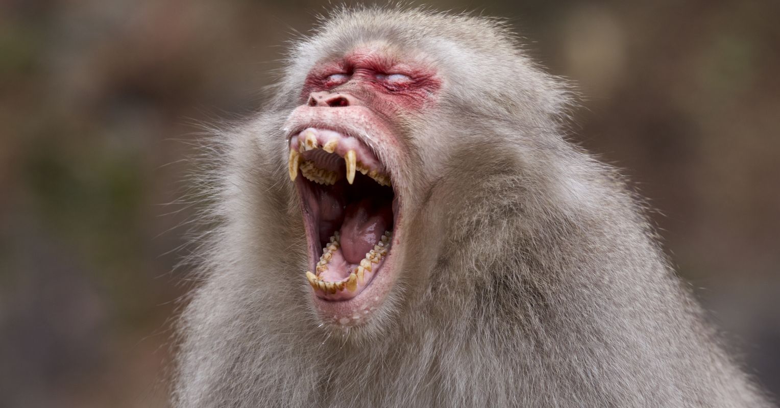 The Connection Between Anxiety, Anger, and Adrenaline | Psychology Today