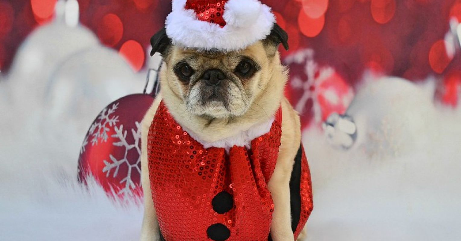 3 Tips to Help Create Happy Holiday Interactions | Psychology Today