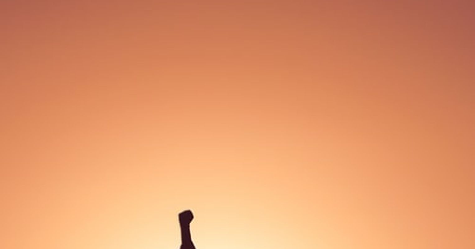 Affirming Views of Single Life Got the Most Love in 2019 | Psychology Today