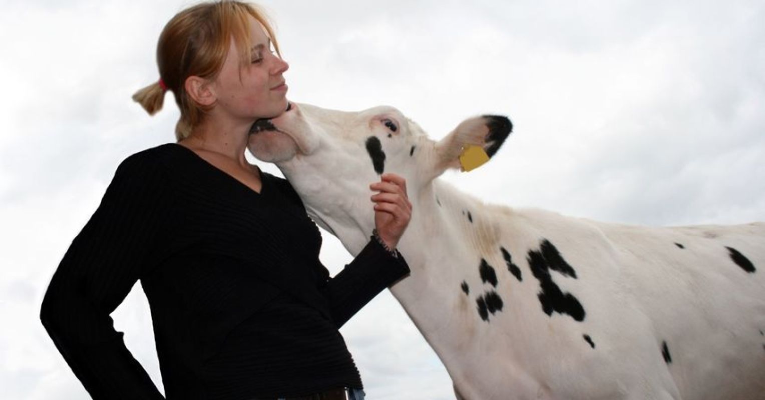 Cuddle a Cow: The New Psychotherapy | Psychology Today