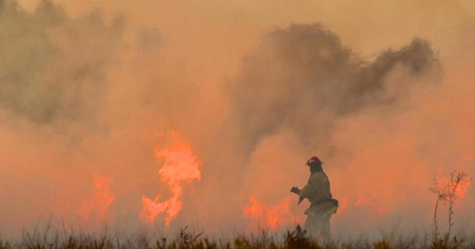 Instructions for Living in a World on Fire | Psychology Today Ireland