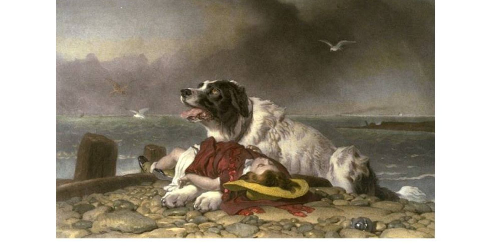 Will Dogs Rescue Their Owners From a Stressful Situation? | Psychology ...