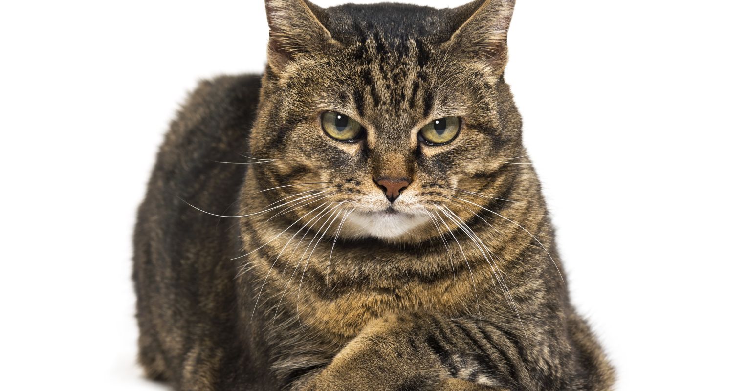 The Dark Side of Self-Esteem | Psychology Today