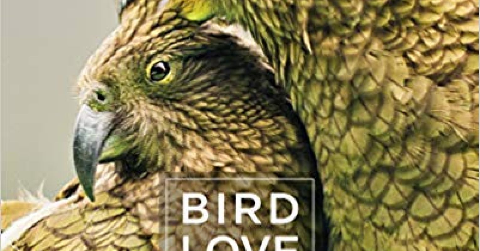 The Family Life of Birds | Psychology Today