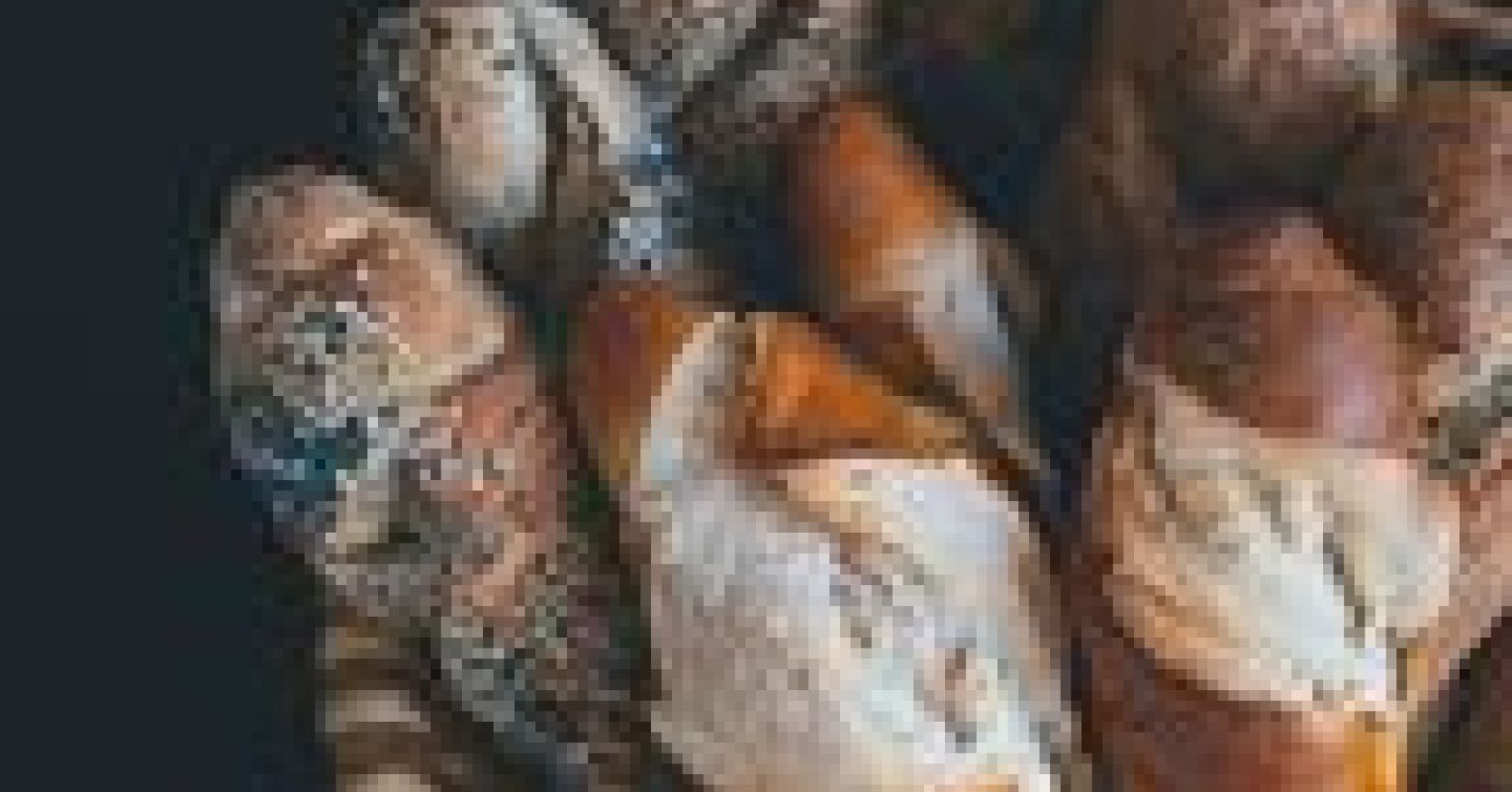 What Helper Are You? | Psychology Today United Kingdom