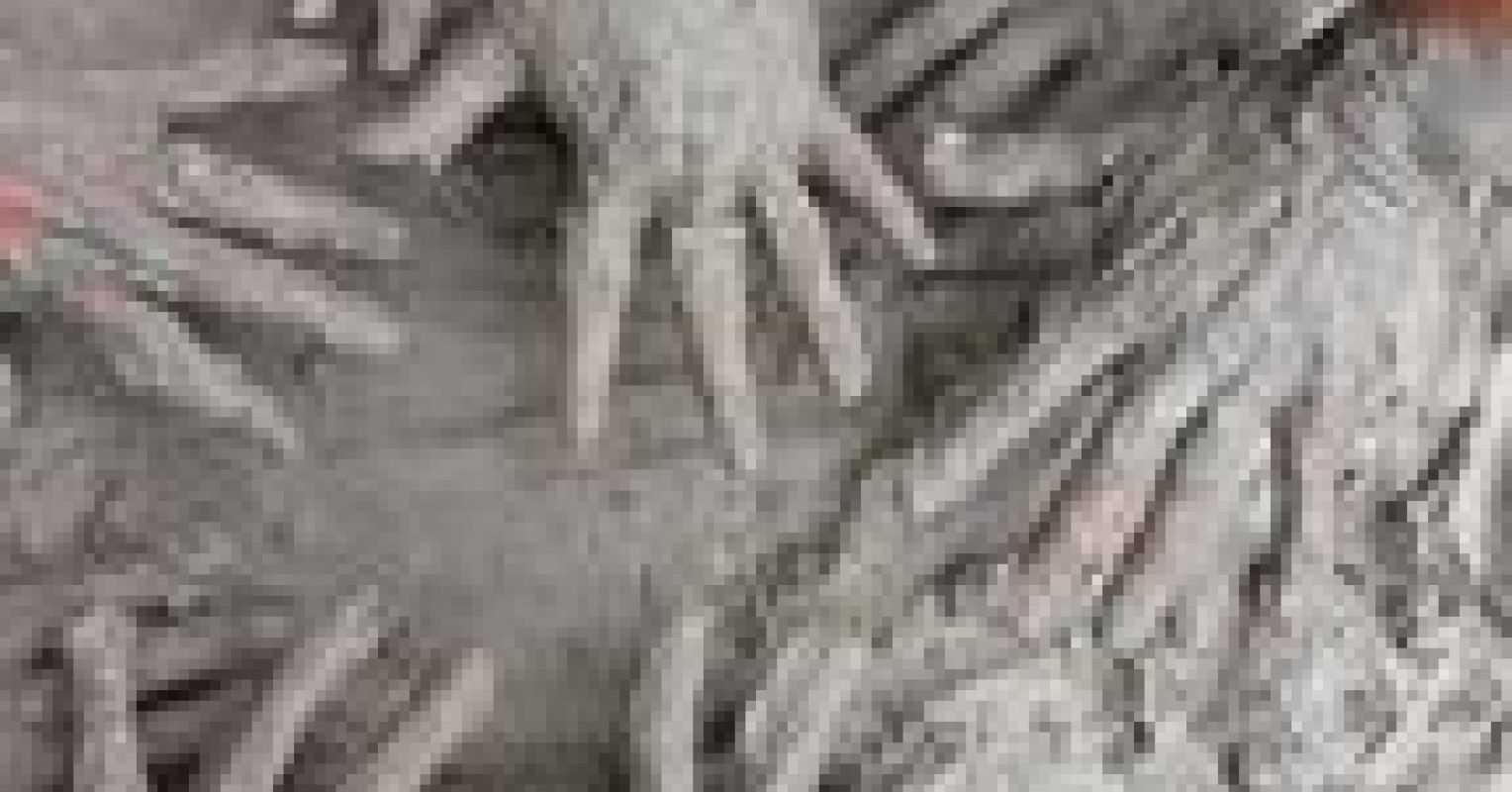 7 Unexpected Ways Clay Is Therapeutic | Psychology Today