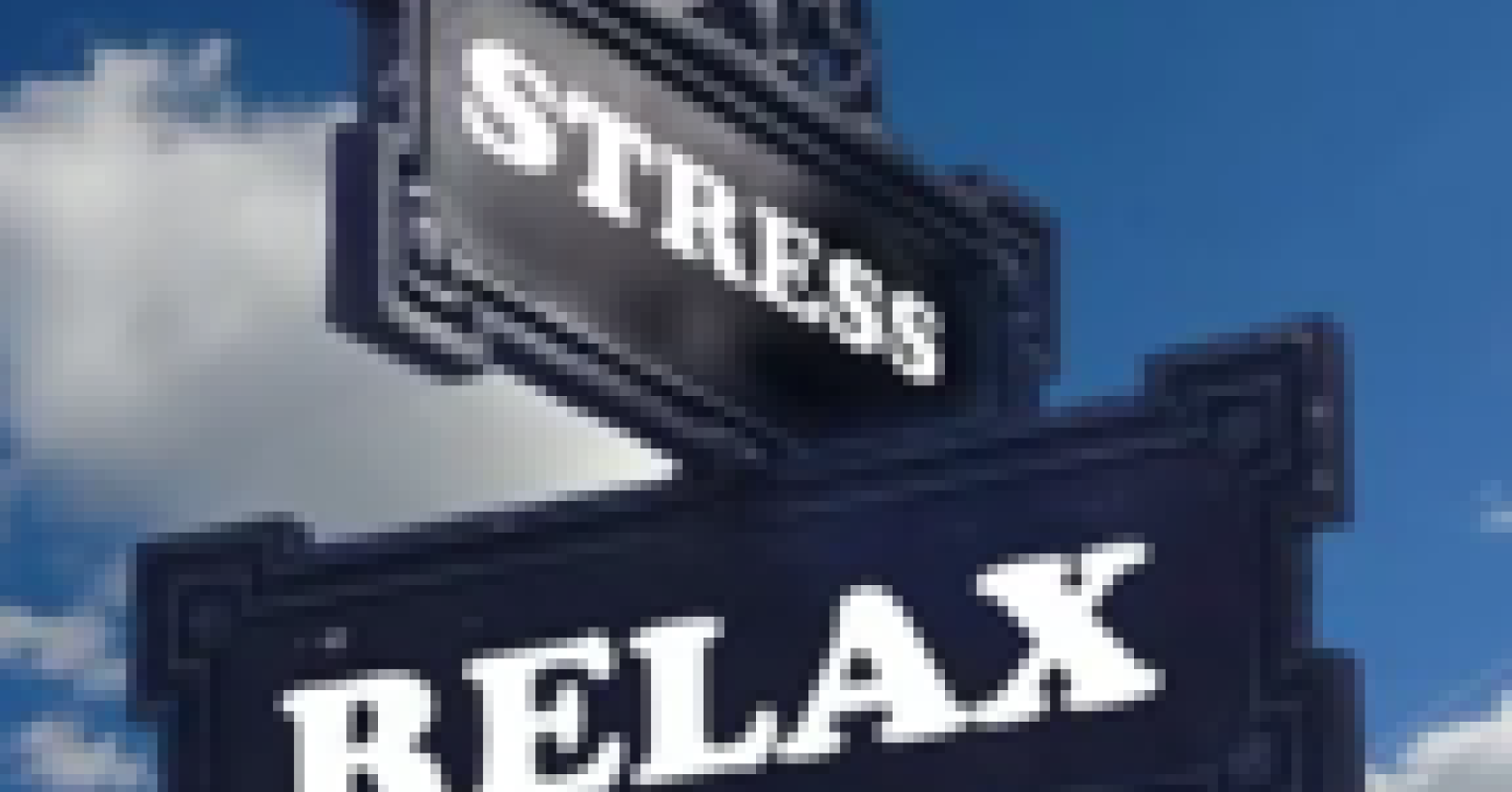 Disaster-Related Stress: From the Universal to the Unique | Psychology ...