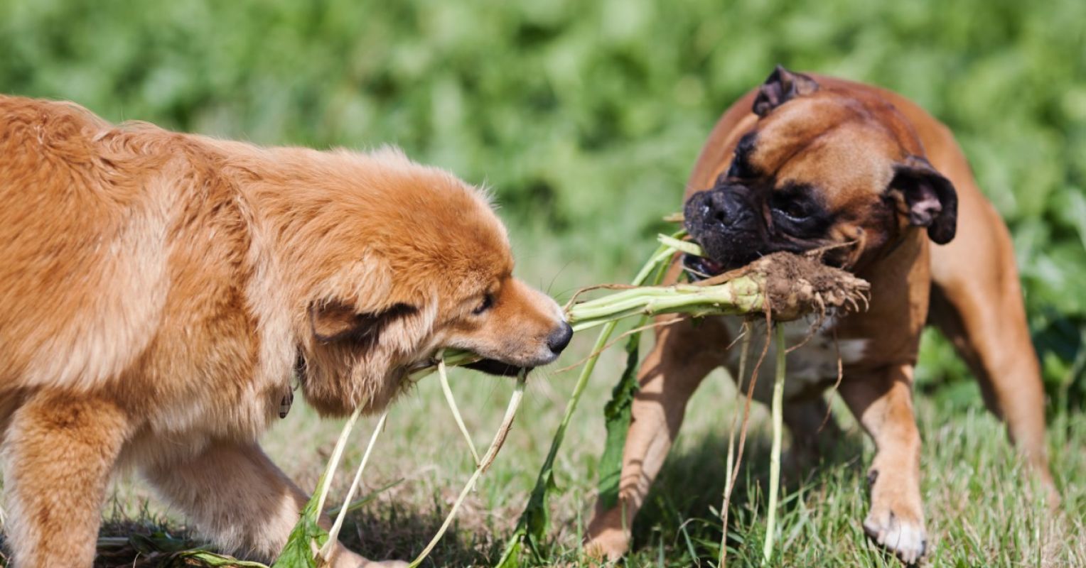 Arguing with Someone Who Doesn't Want to Listen | Psychology Today ...